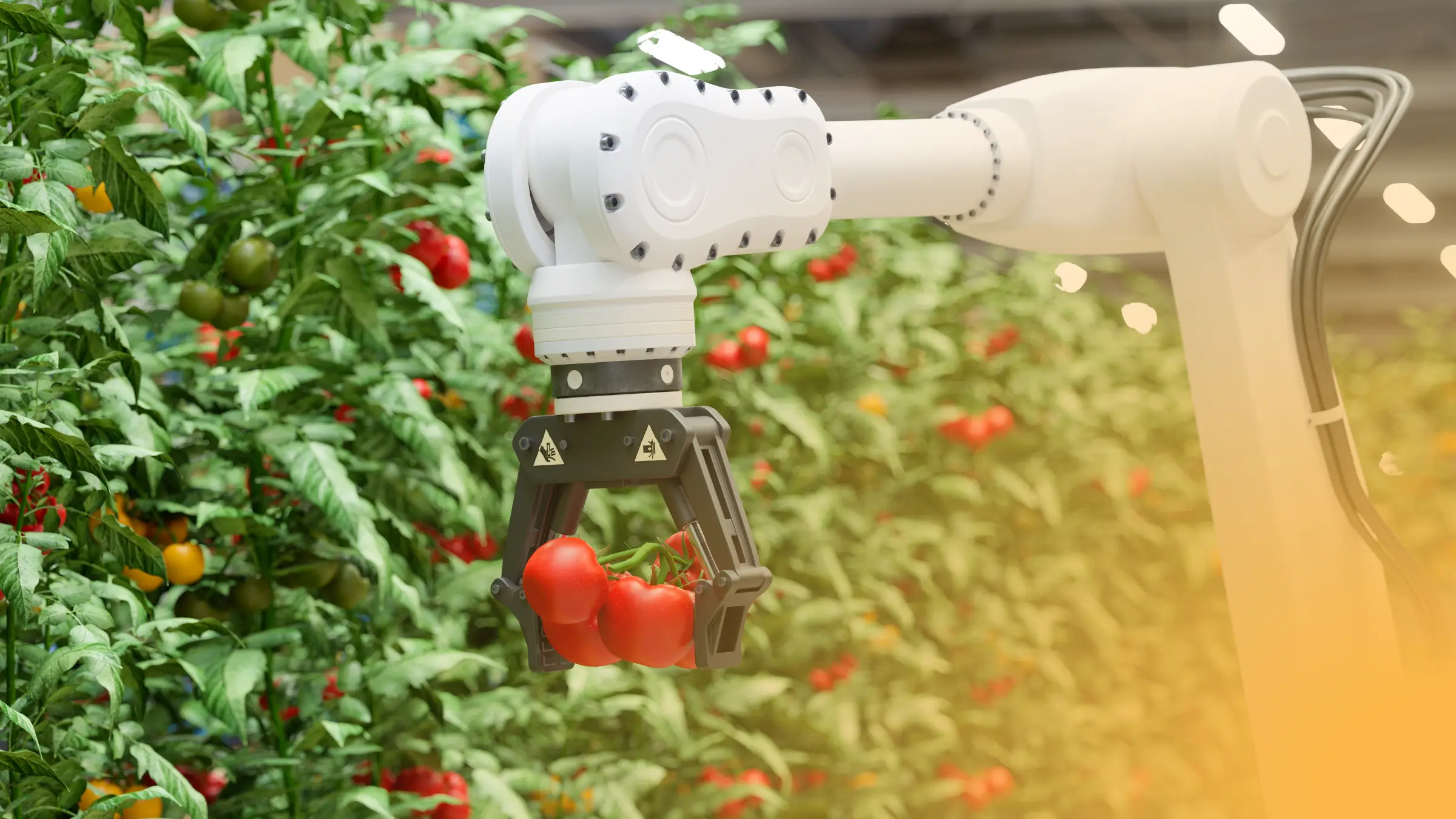 8 Robotics Trends Transforming Industries in 2025